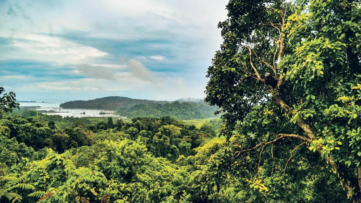 Great Nicobar Project: Whose Land Is It? - Frontline